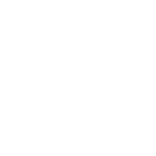 Placement Assured Training Programs | Noble University